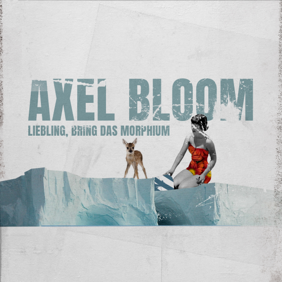 Axel Bloom – Singer / Songwriter / Produzent / Gitarrist / Schiffsmakler